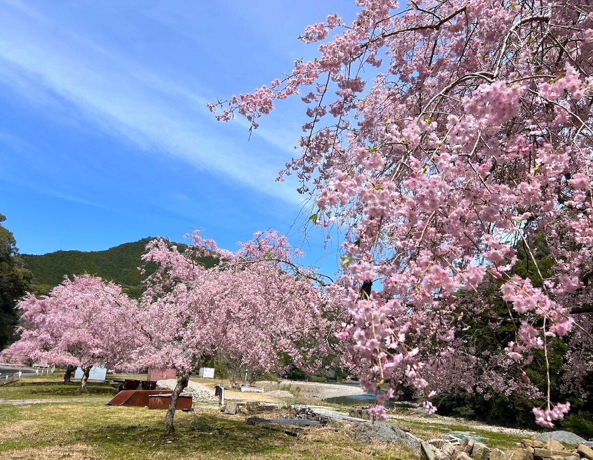 7年ぶりの: 沖縄から～ パライバブルーな季節風